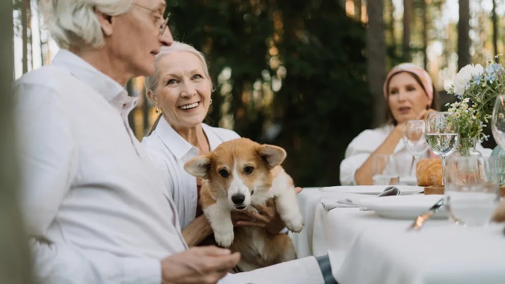 Los perros y los gatos reducen el deterioro cognitivo de las personas ...