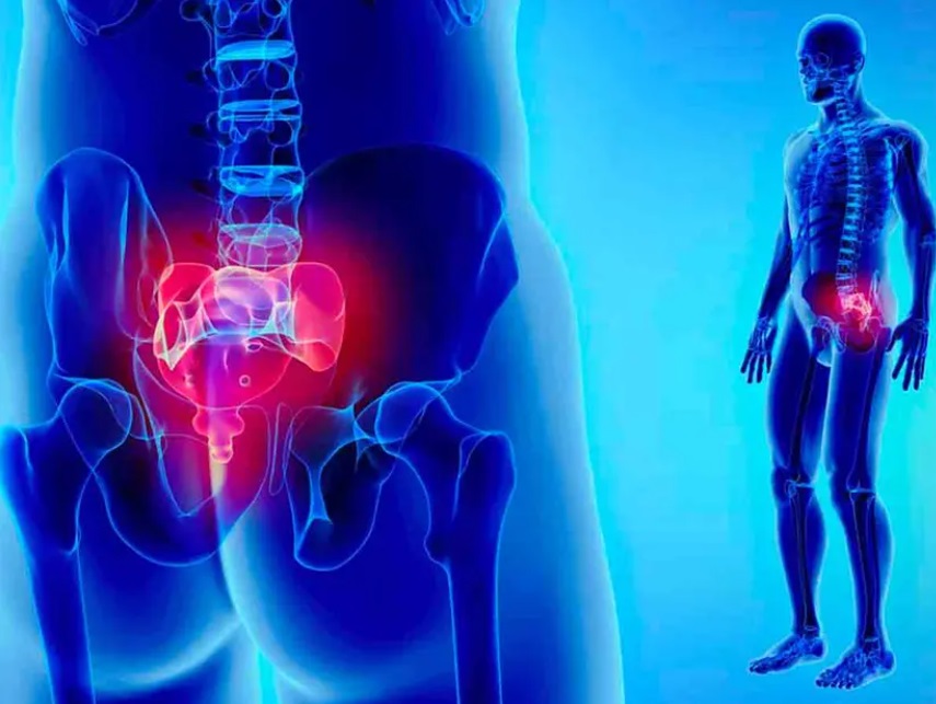 Científicos resuelven misterio por el que los humanos perdieron la cola ...