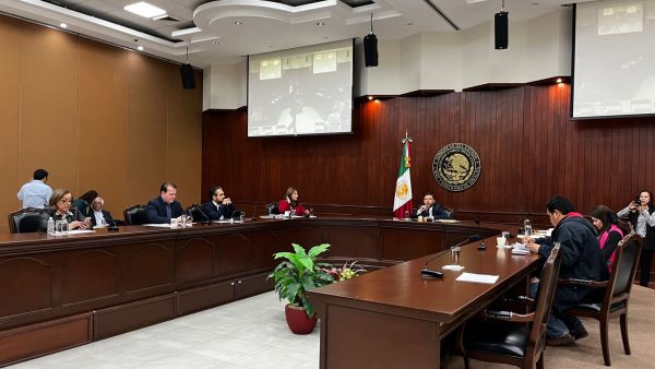 Proponen inscribir en el Muro de Honor los nombres de Inés Arredondo y ...