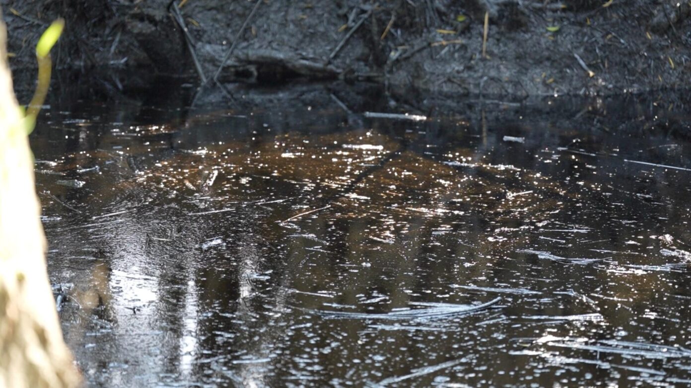 Exigen remediación inmediata en Río Pantepec, tras severo derrame de ...